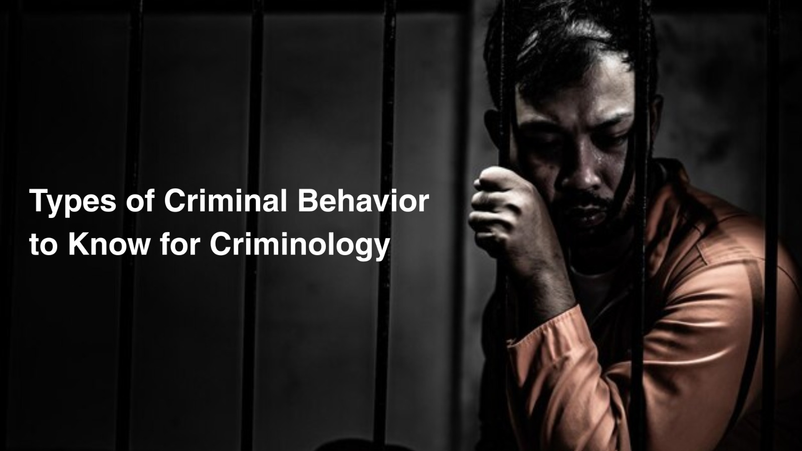 7 Types of Criminal Behavior Explained Clearly